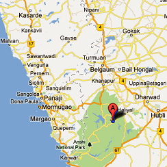 Dandeli Wildlife Sanctuary Dandeli - Places to Visit in Dandeli