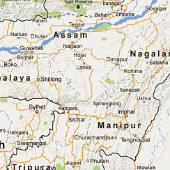 Keibul Lamjao National Park Imphal - Tourist Places to visit in Imphal