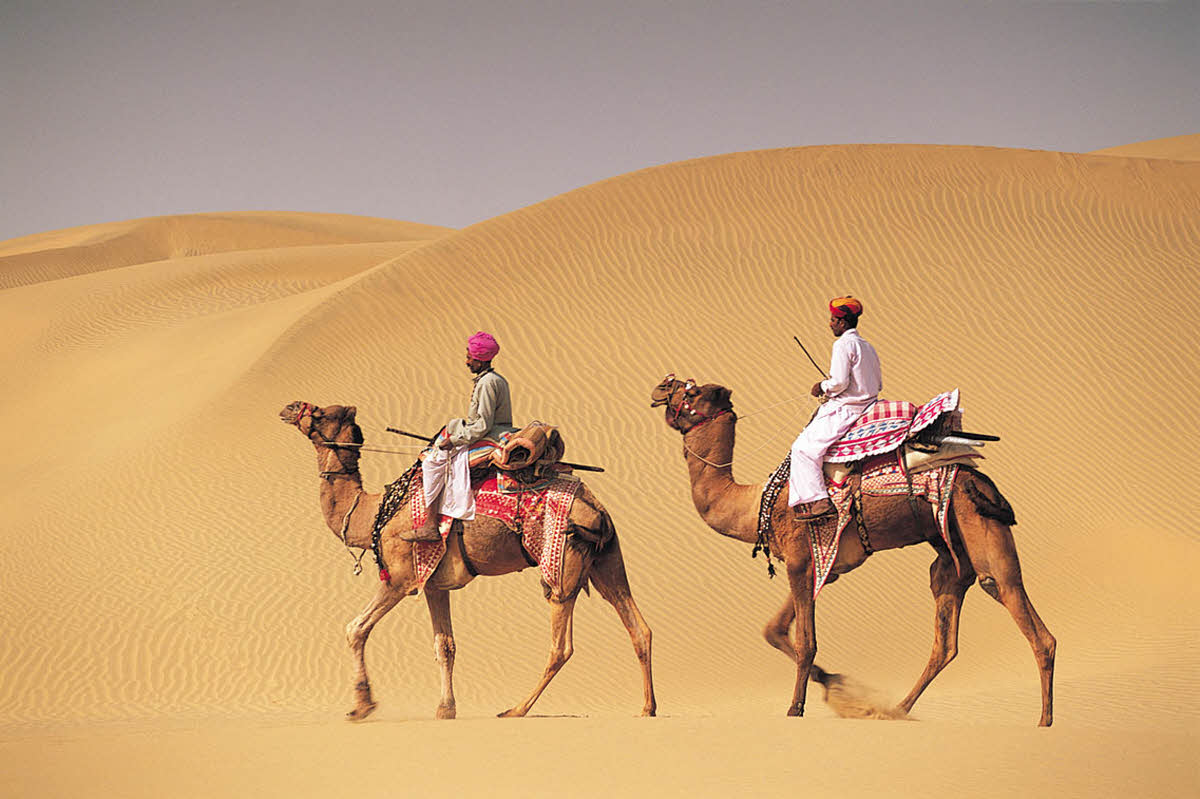 5 Camel Safari Destinations, Camel Safari Packages, Camel Safari Tips